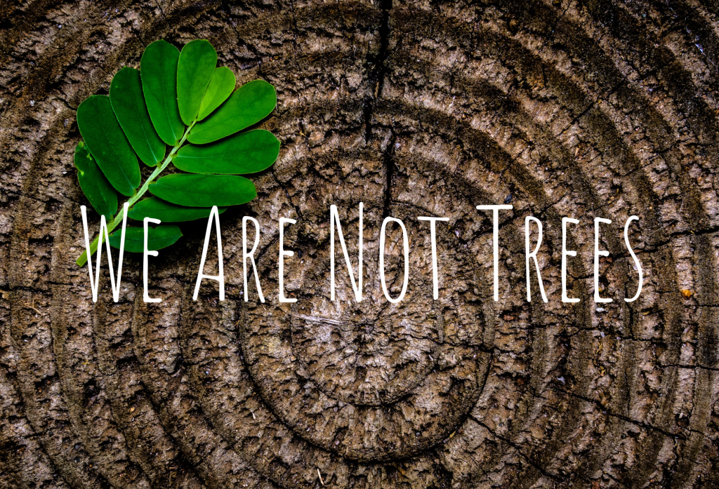 Vietnam - We Are Not Trees