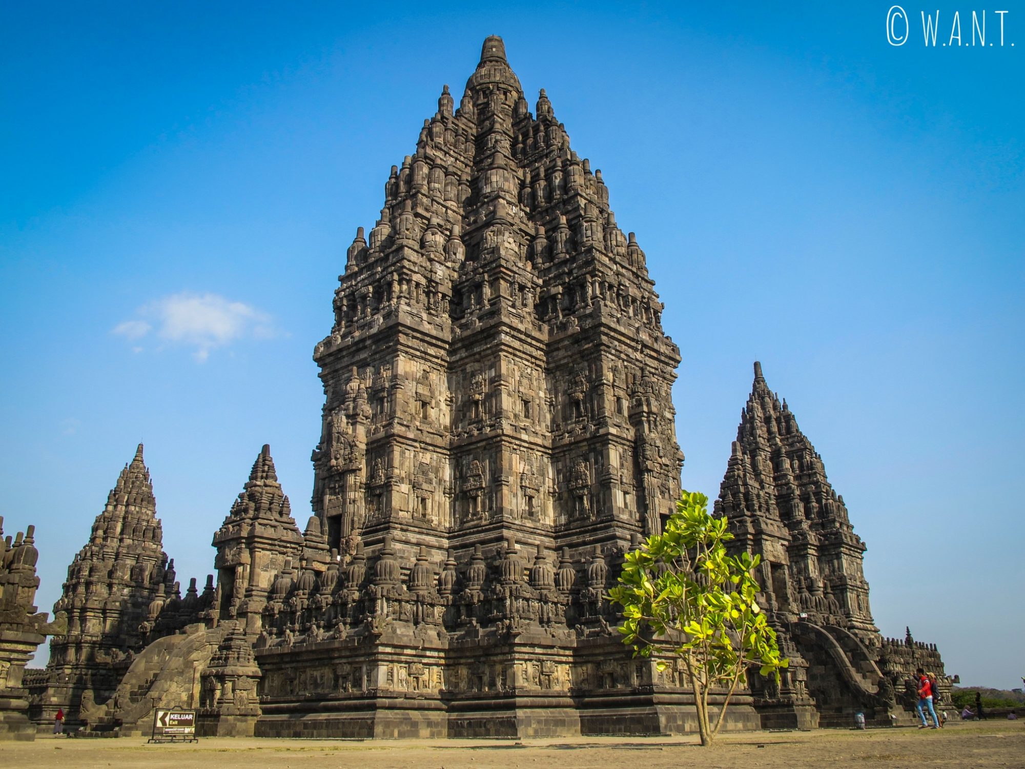 Yogyakarta et les temples de Borobudur et Prambanan - We Are Not Trees
