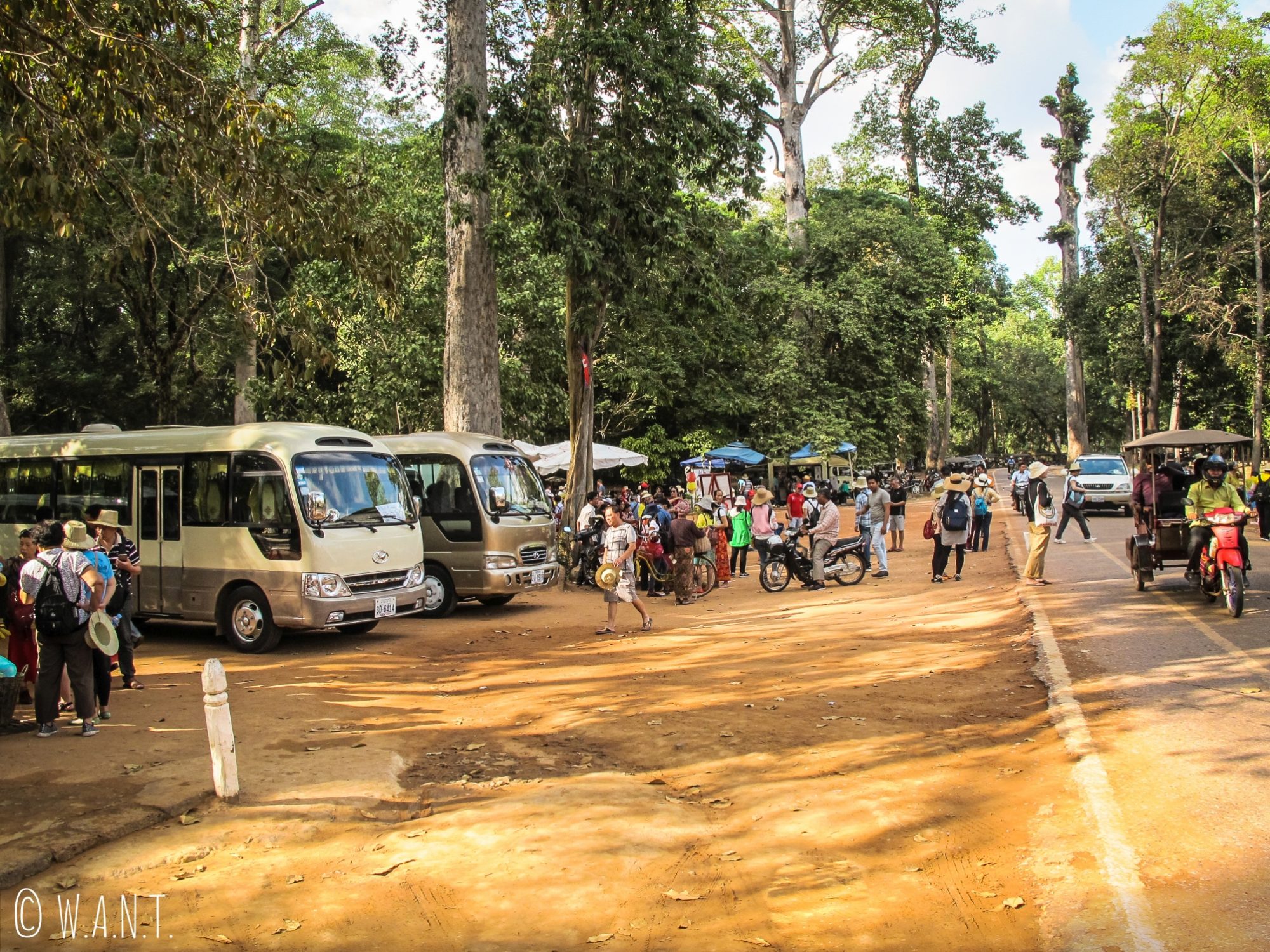 Angkor, un site Unesco à l’épreuve du tourisme - We Are Not Trees