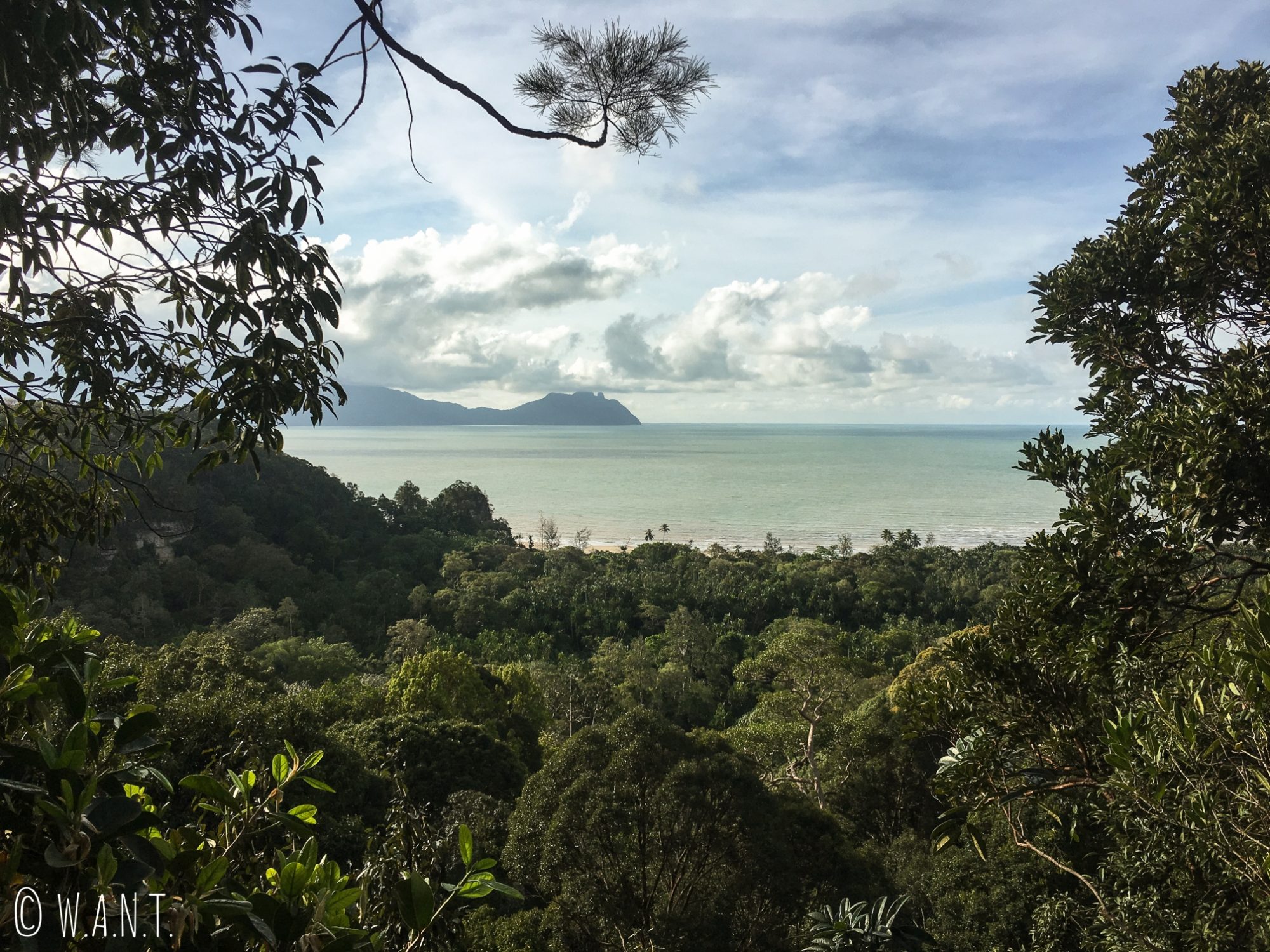 Kuching, trésor du Sarawak - We Are Not Trees